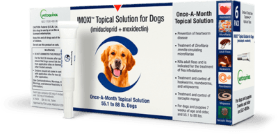 Imoxi (imidacloprid + moxidectin) Topical Solution – Once-monthly ...